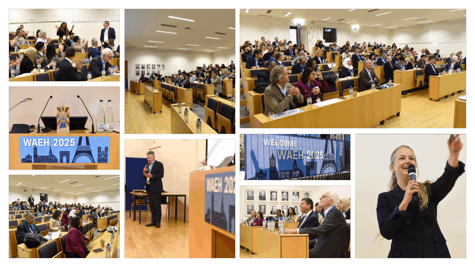 Photo’s of the 19th Annual WAEH Meeting 2025 – The World Assocation of ...